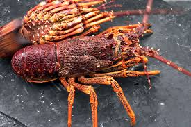 Caribbi Seafood Village 家樂海鲜村